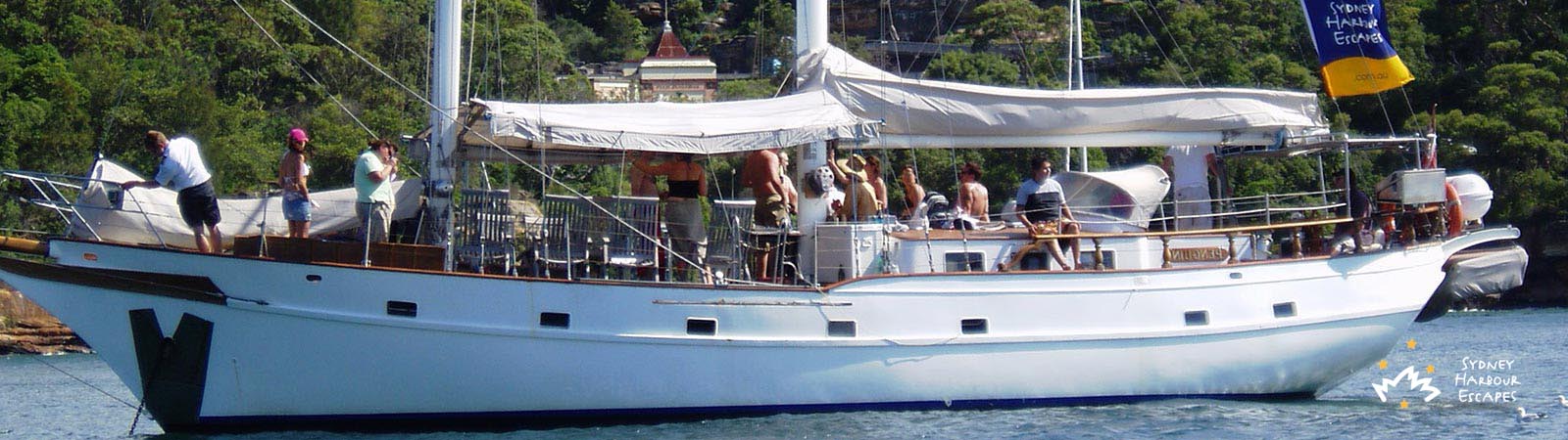 The Penguin Boat Charters Sailing Sydney Harbour